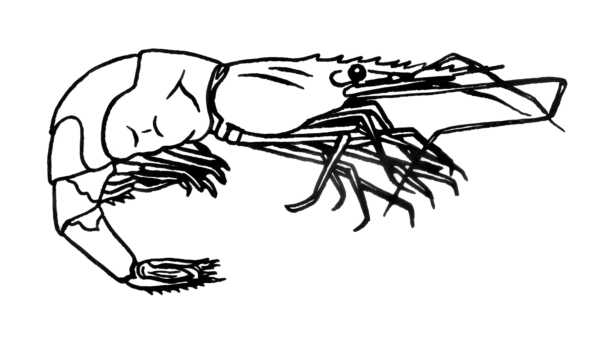 Éditeurs – Coll.LIBRIS